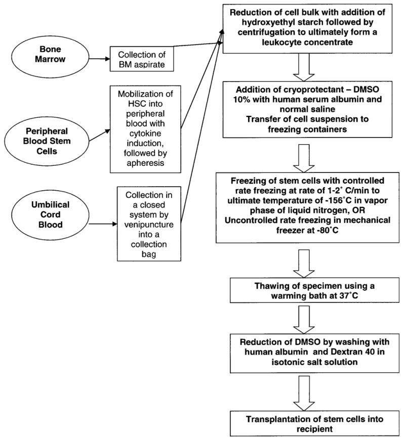 Treatment Process
